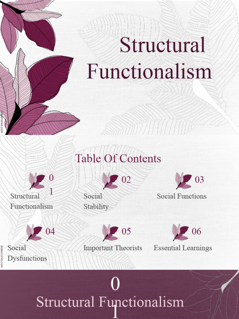 Structural Functionalism | PDF | Deviance (Sociology) | Sociology