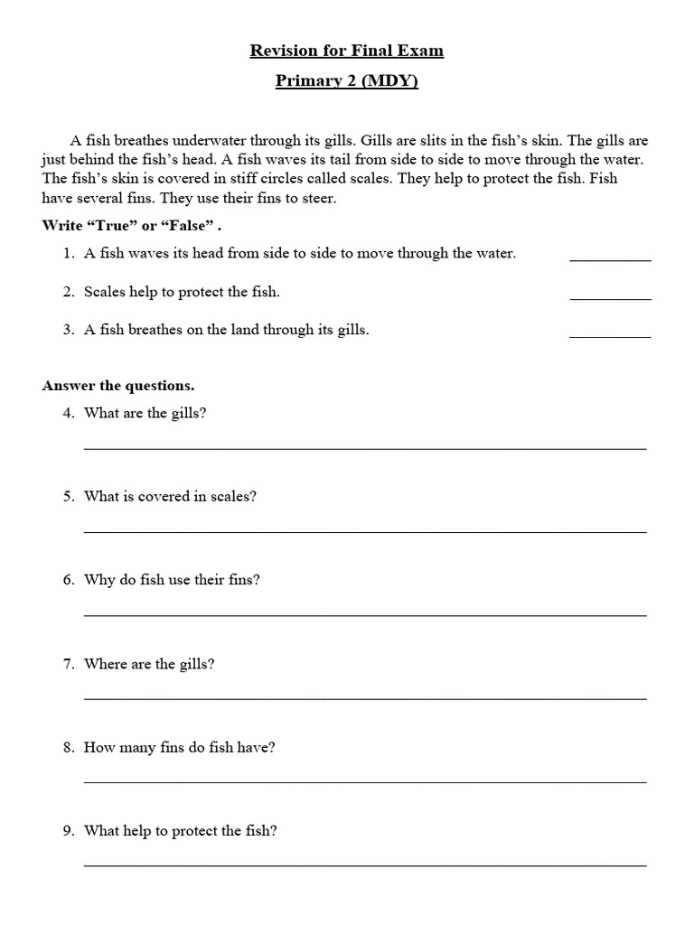 Revision For Final Exam P2 (MDY) | PDF | Whales | Fin