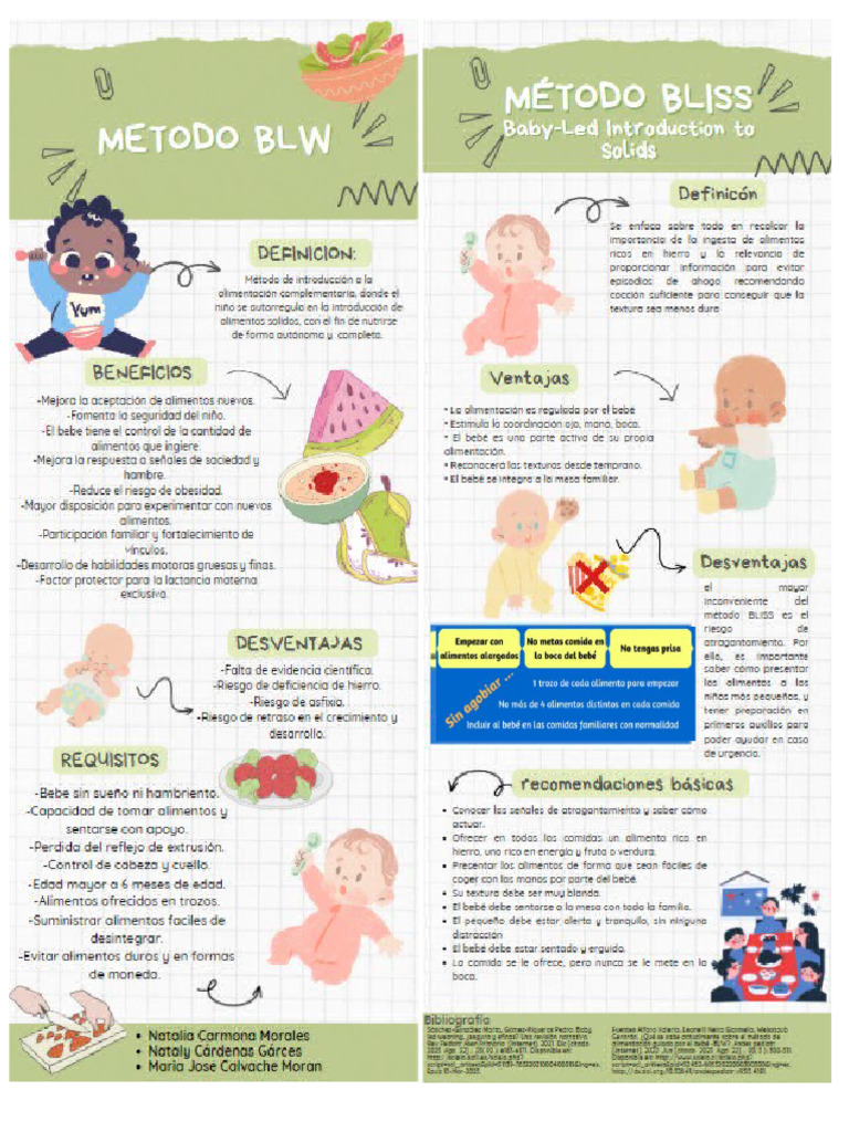 Infografía BLISS BLW | PDF