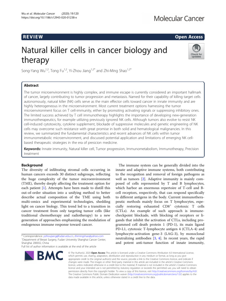 Natural Killer Cells in Cancer Biology and Therapy | PDF | Natural Killer Cell | Immune System