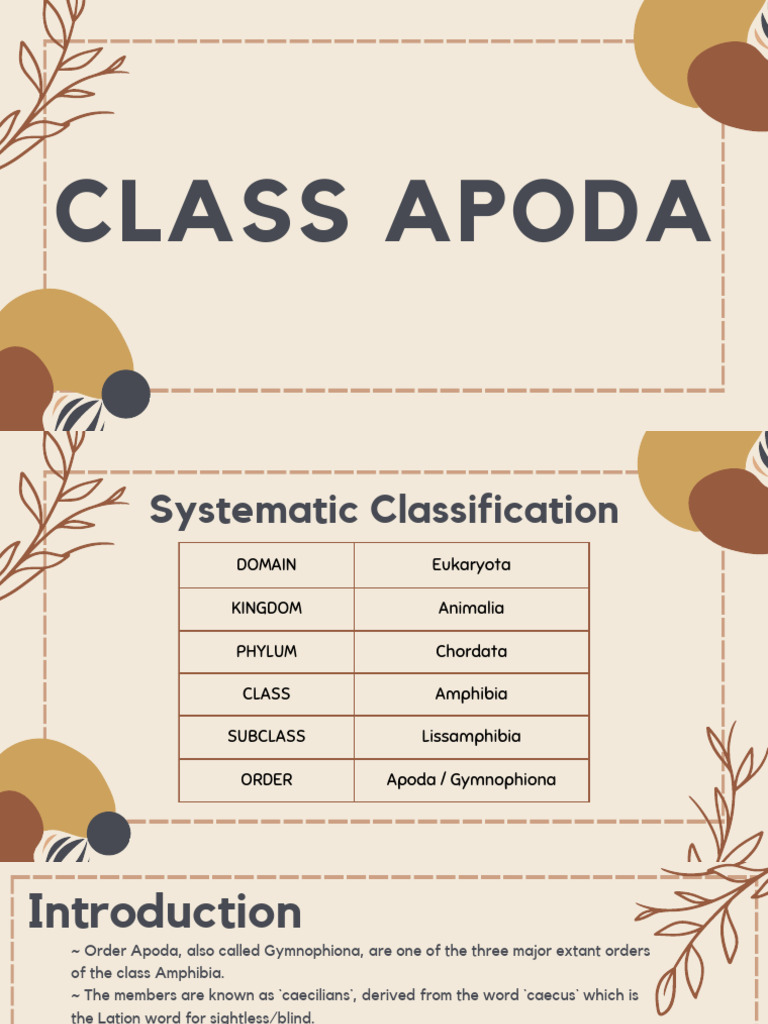 Class Apoda - 20240325 - 220026 - 0000 | PDF | Amphibian | Zoology