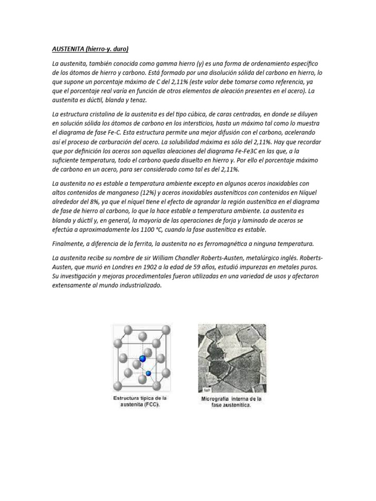 Mi Compa El Bernier | PDF | Acero inoxidable | Metalurgia