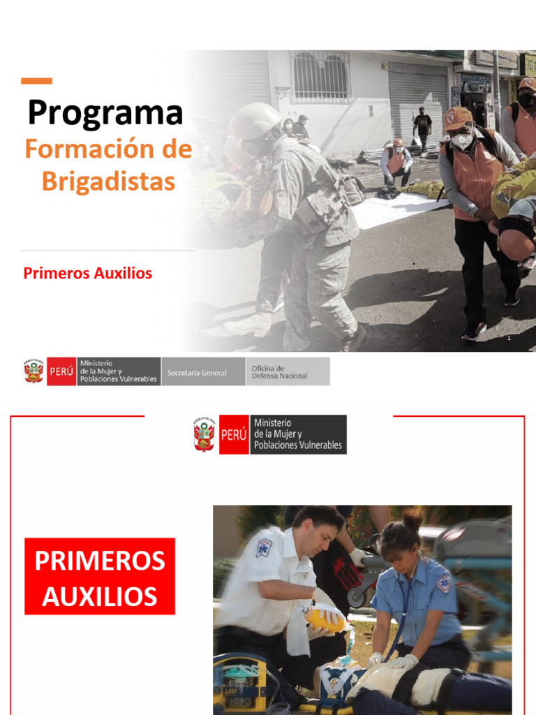 Curso Primeros Auxilios Mimp Brigadas | PDF | Reanimación cardiopulmonar | Herida