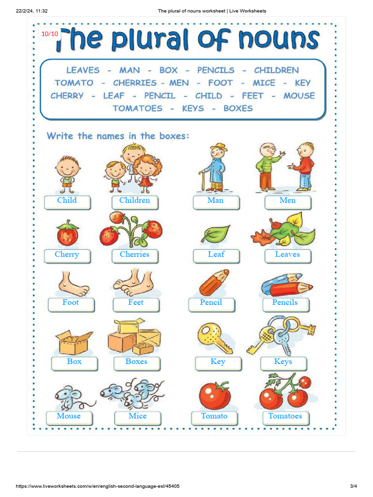 Plural Nouns Live Worksheet | PDF