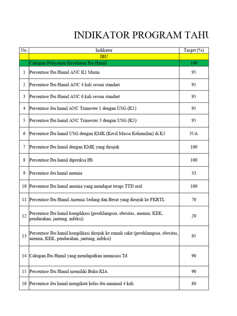 INDIKATOR PROGRAM TAHUN 2024 (KESMAS OK) | PDF