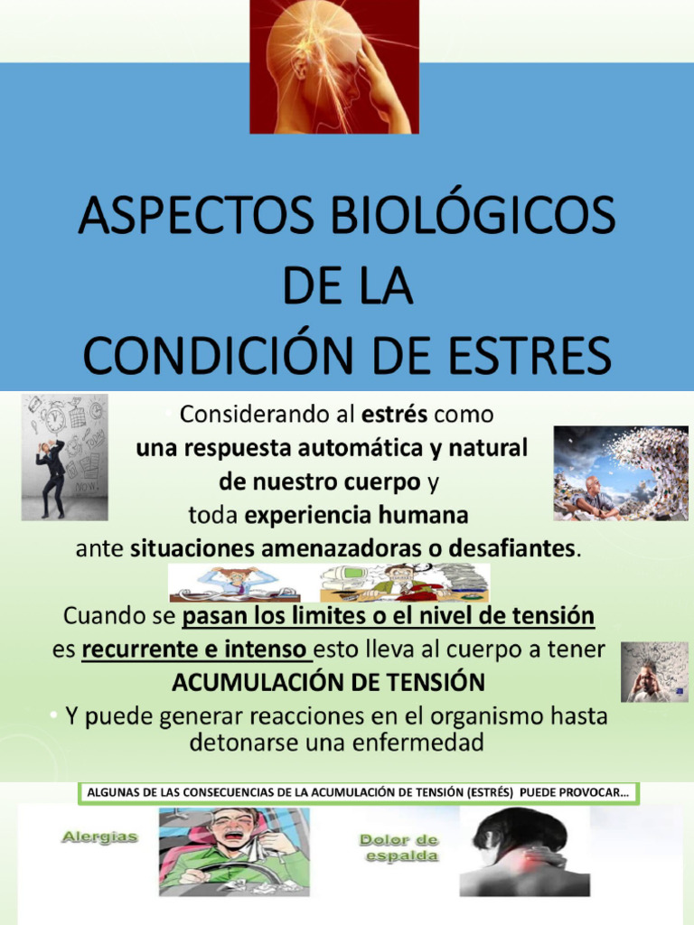 1 Aspectos Biológicos de La Cond. Estrés 2 | PDF