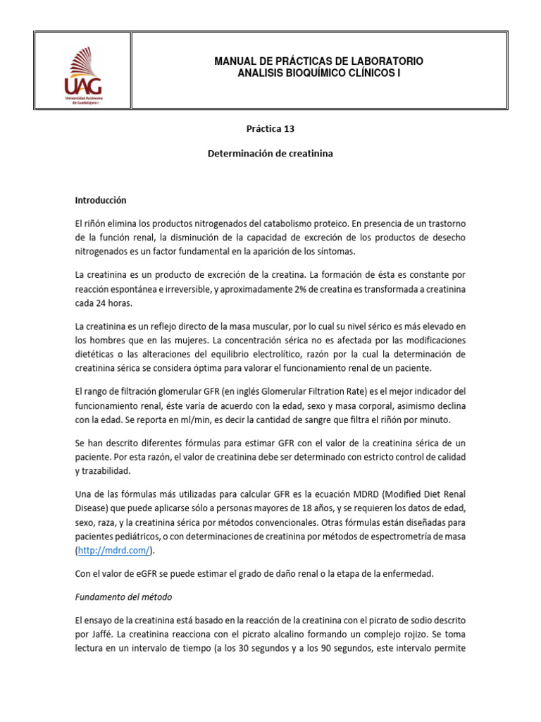 Práctica 13 | PDF