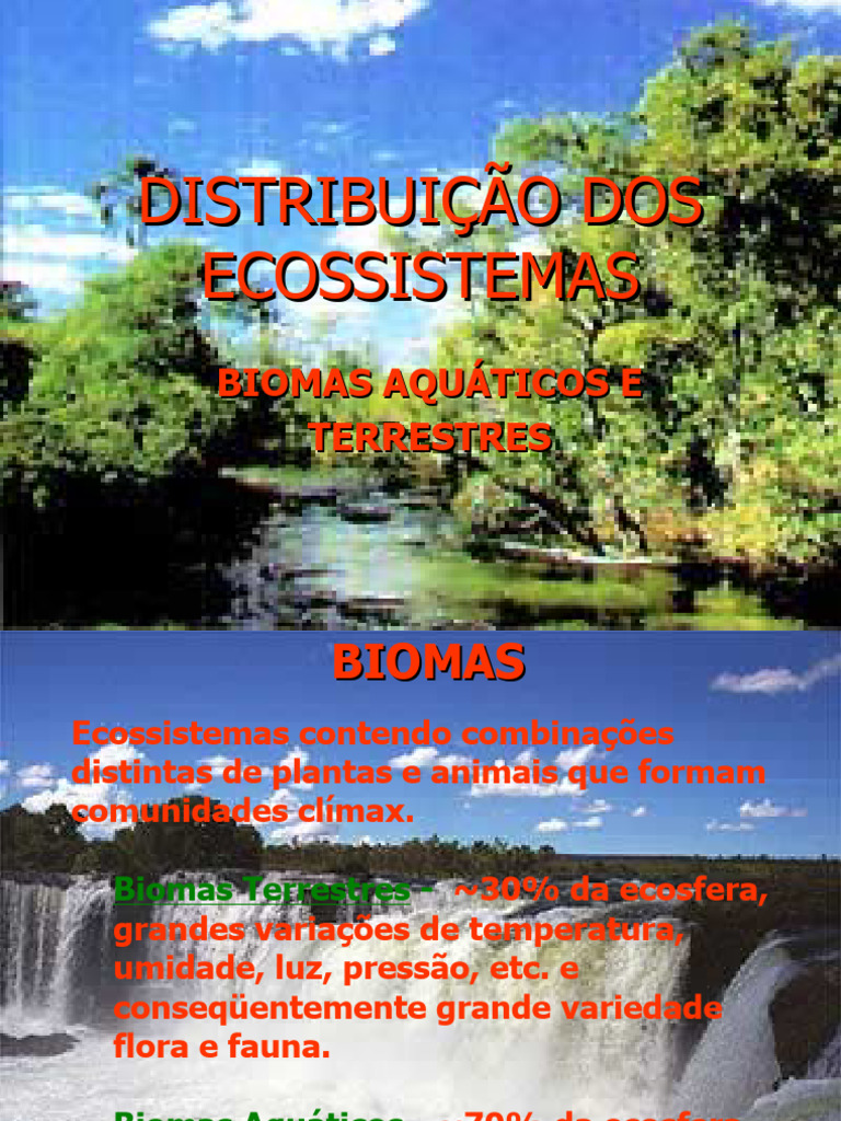 CAP 7-CinciasdoAmbiente | Download grátis PDF | Florestas | Ecossistema