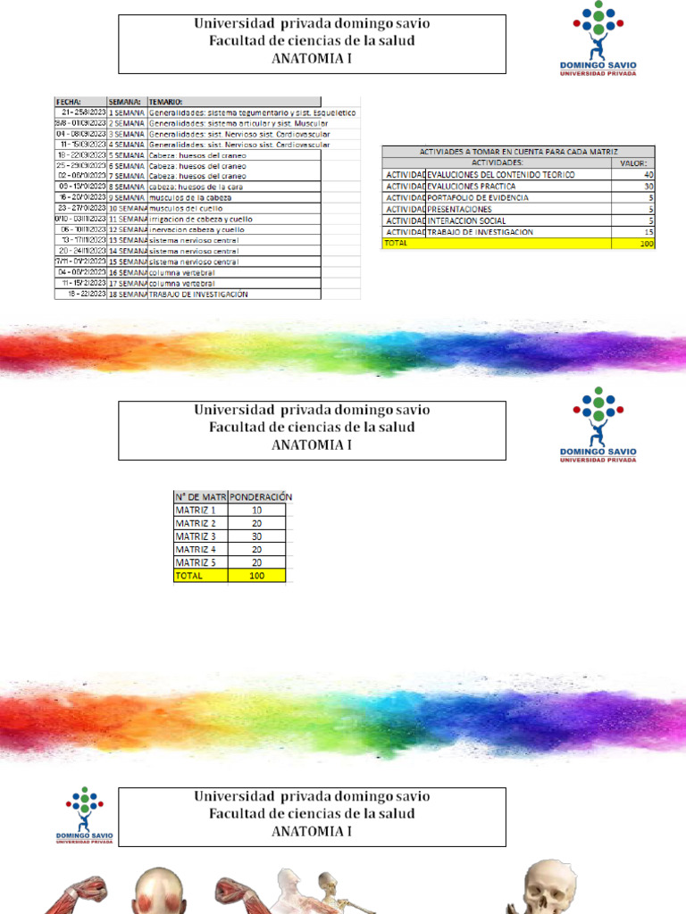 Anatomia Diapos | PDF
