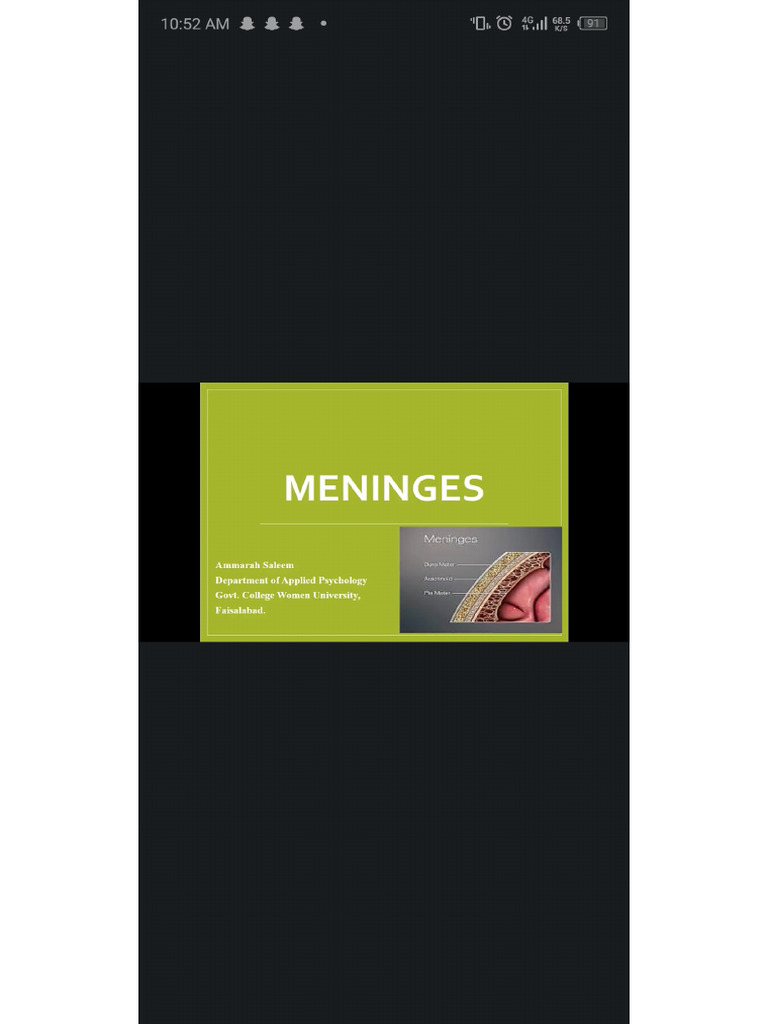 Meninges | PDF