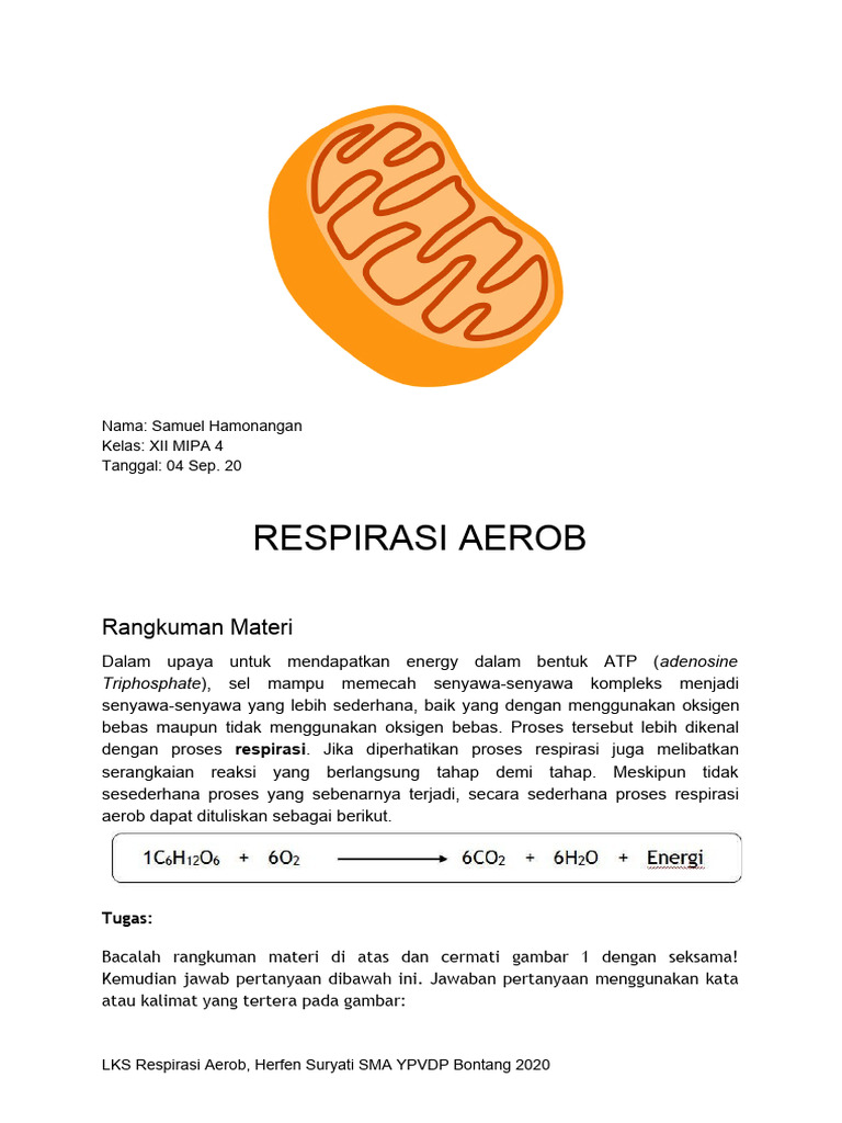 LKS Respirasi Aerob | PDF