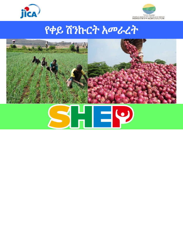 The Project For Smallholder Horticulture Farmer Empowerment Through ...