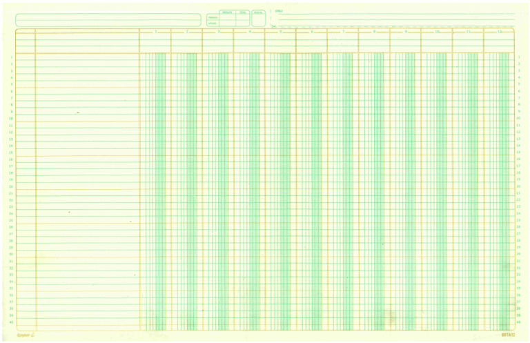Hoja de Trabajo 12 Columnas | PDF
