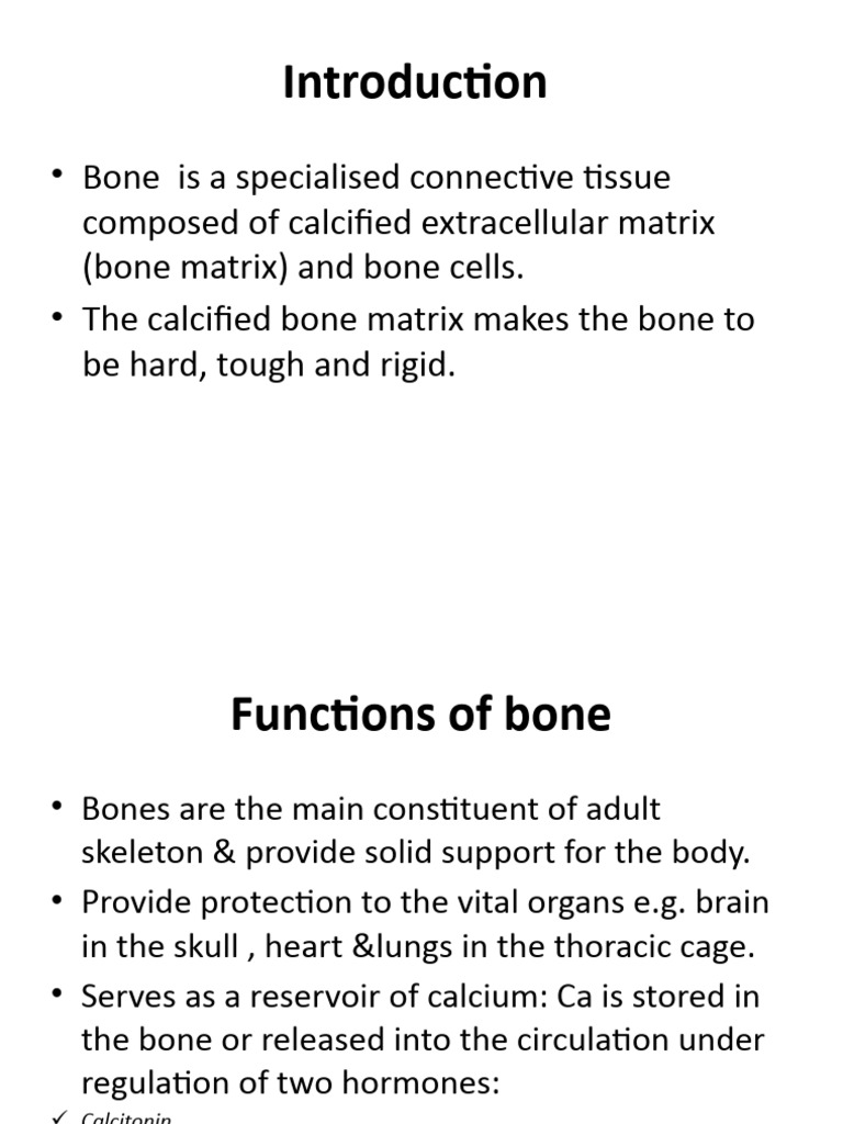 Bone | PDF | Bone | Osteoblast
