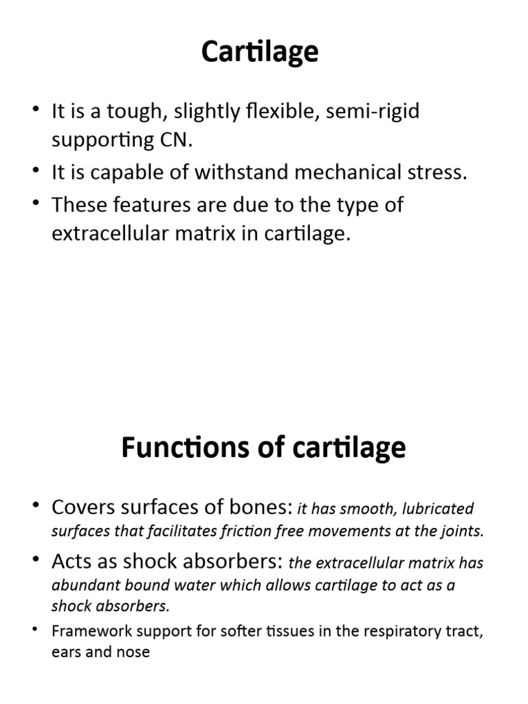 Cartilage | PDF | Cartilage | Connective Tissue
