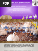 Tabla Alimentacion Pollos Engorde | PDF
