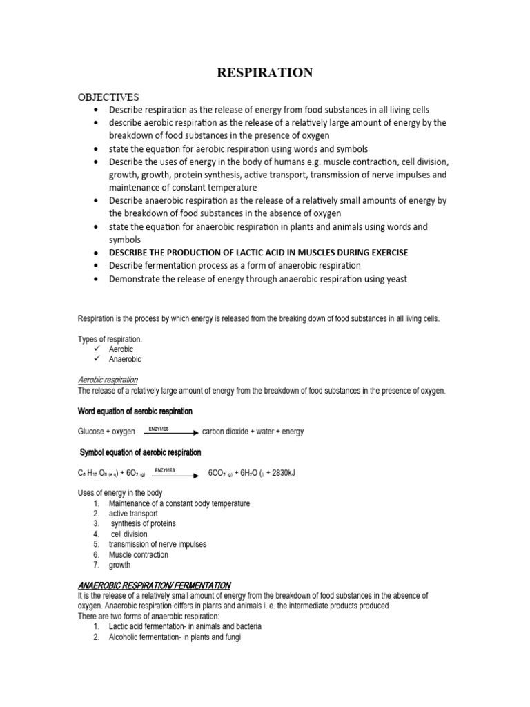 Respiration | PDF | Cellular Respiration | Fermentation