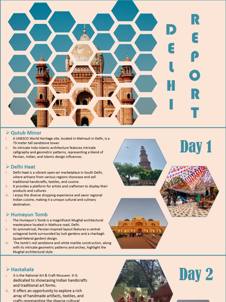 Delhi Trip Report | PDF