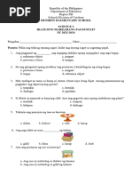 20 Easy-Moderate Logic Questions Tagalog | PDF