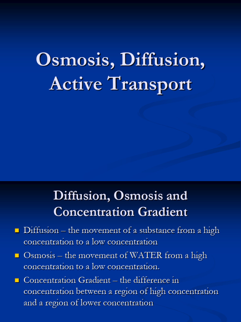 Membrane Structure & Permiability | PDF | Osmosis | Cell Membrane