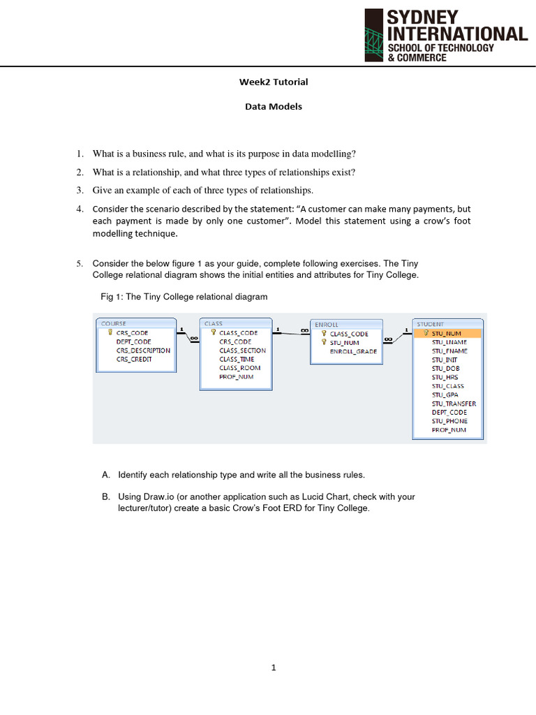 ICT503 Week2 Tutorial | PDF
