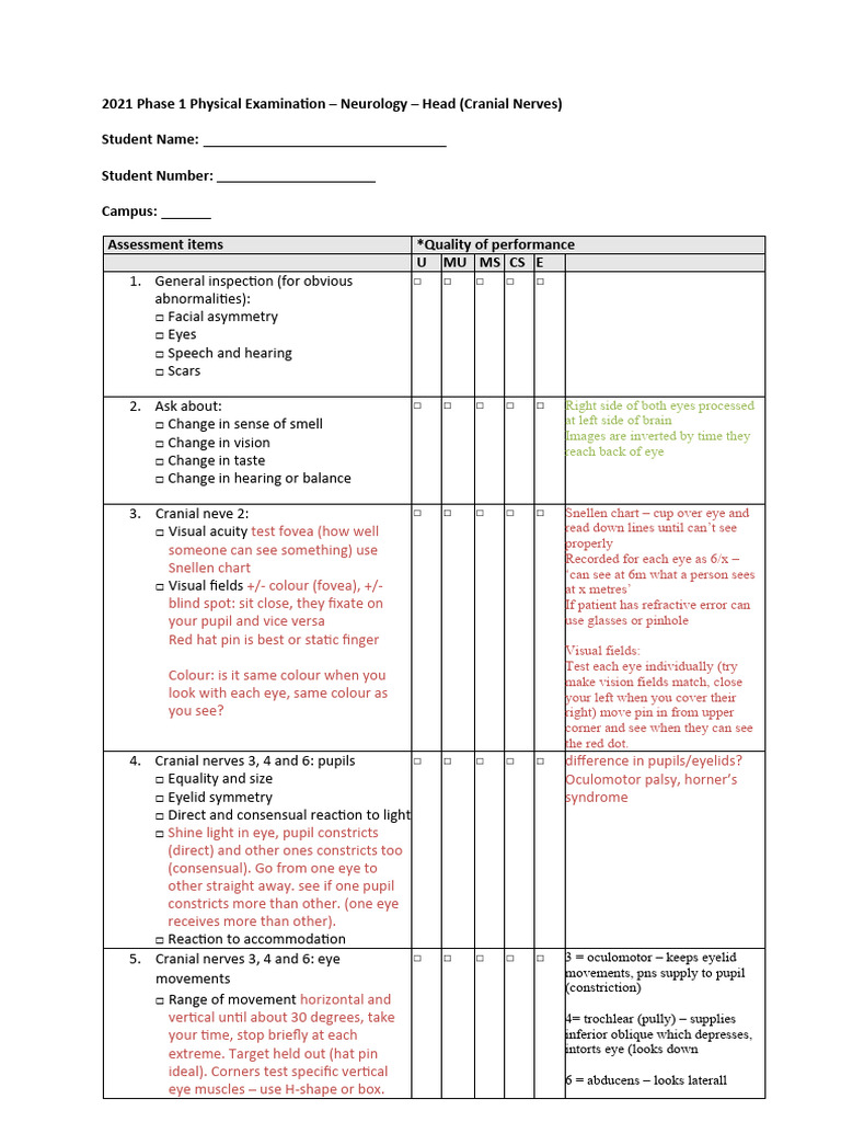 Phase 1 Rubric - Neurology - Head - 2021 Student | PDF | Visual System ...