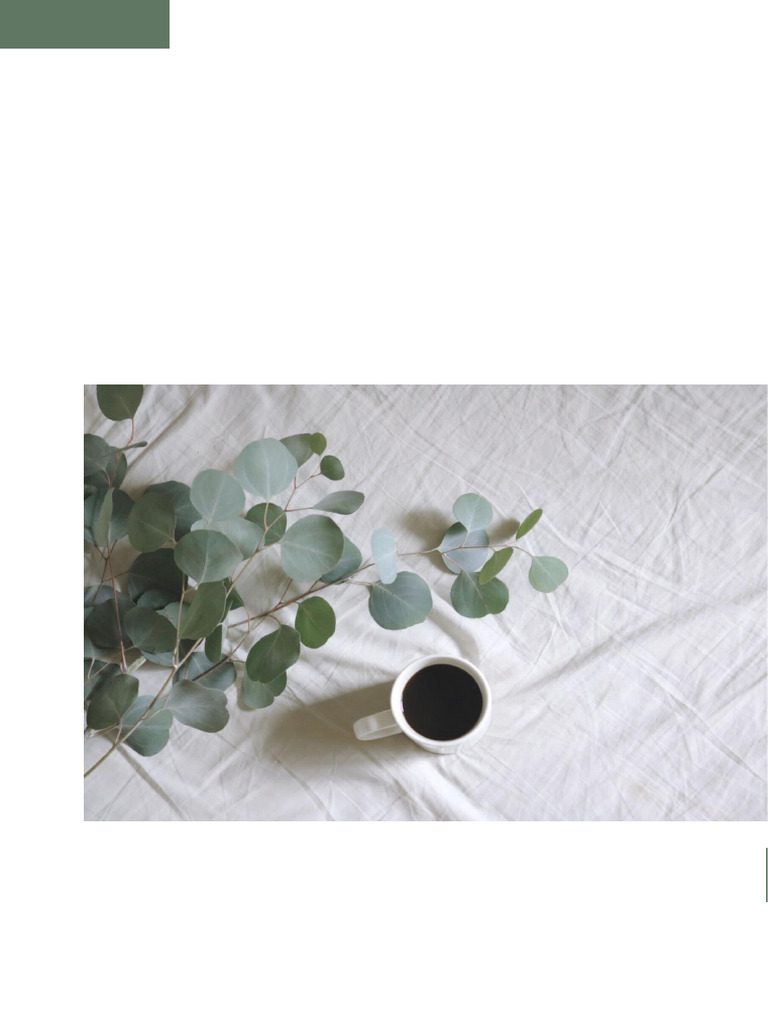 Fashion Book Cover-WPS Office | PDF