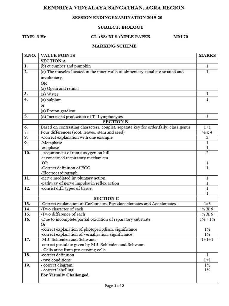 CLASS XI Bio Marking Scheme 2019-20 | PDF | Cell Biology | Biology