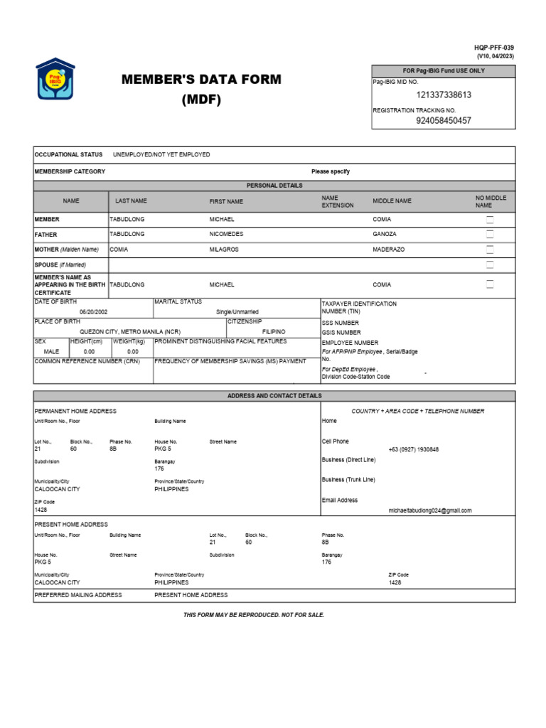 Michael - MDF | PDF | Metro Manila | Government