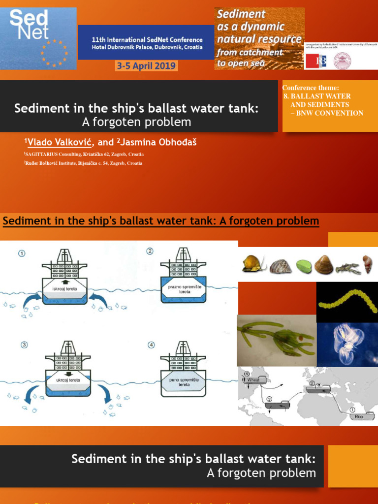 Sediments in Ship's Ballast Tank | PDF | Ships | Sediment