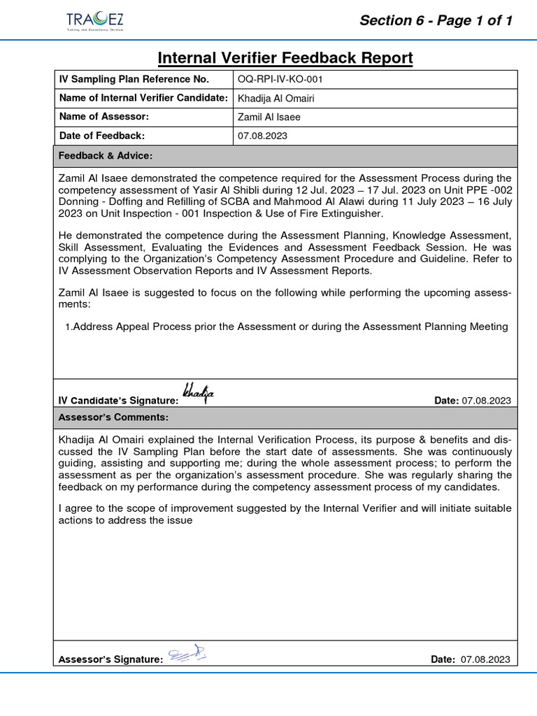 6 - IV Feedback Report - Assessor 2 | PDF