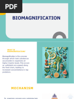 Understanding Biomagnification Effects | PDF | Environmental Issues ...