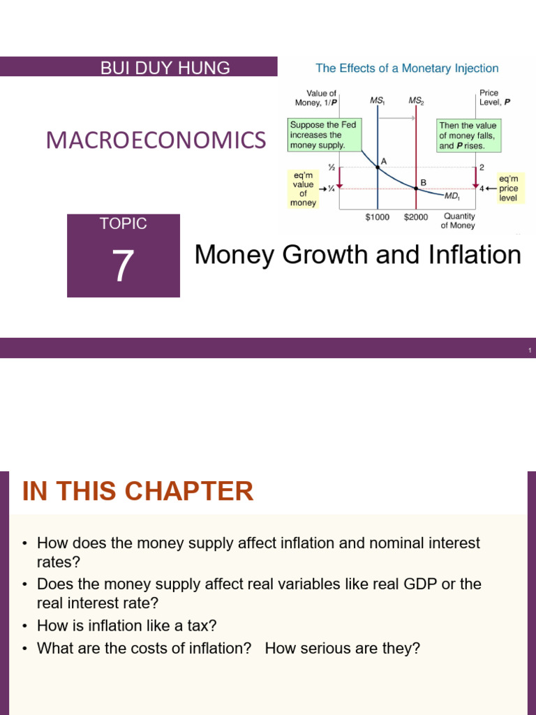 Topic 7 Money Growth and Inflation | PDF | Inflation | Quantity Theory ...