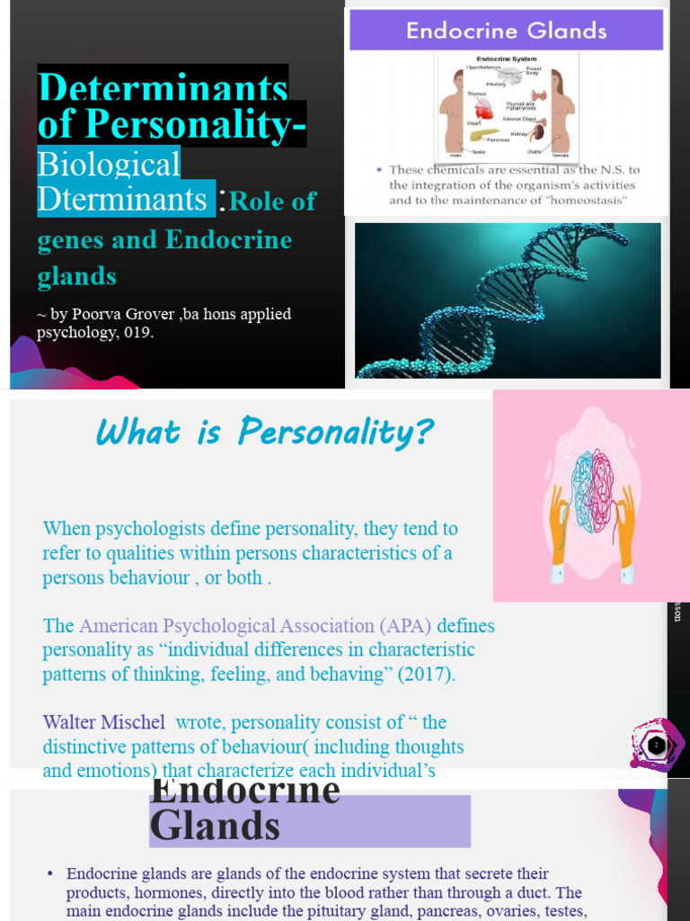 Endo 2 | PDF | Endocrine System | Hormone