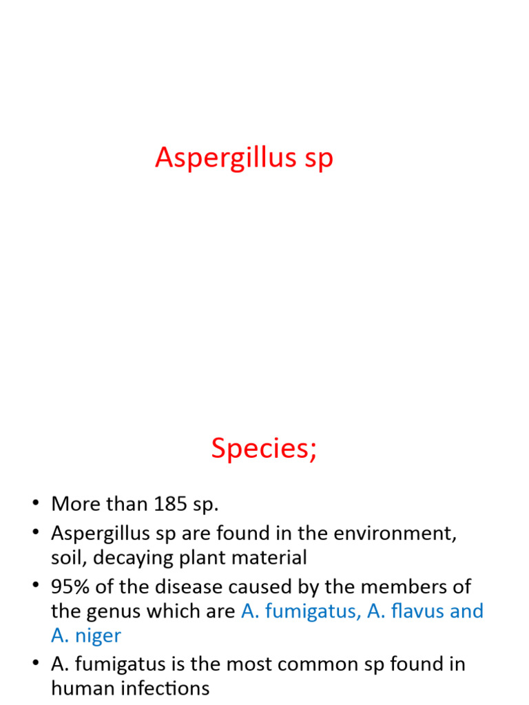 Aspergillosis | Download Free PDF | Aspergillus | Medical Specialties