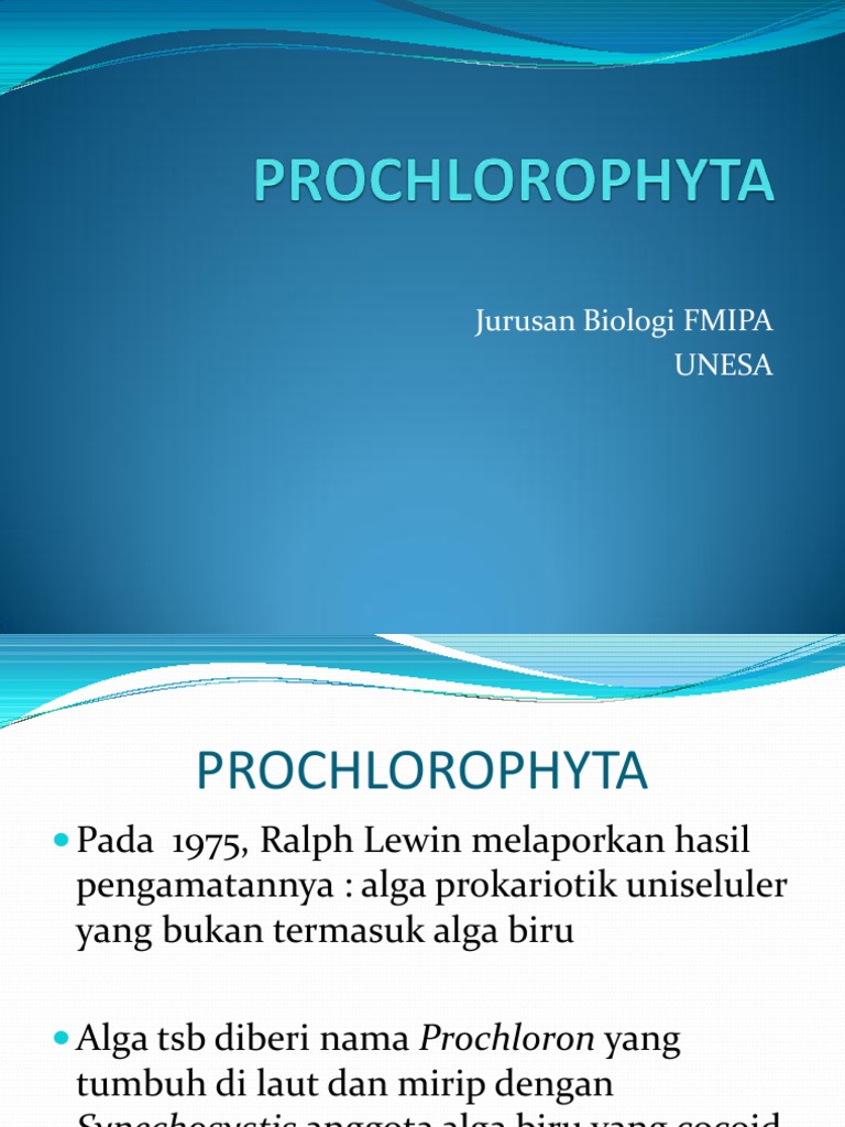 Prochlorophyta | PDF
