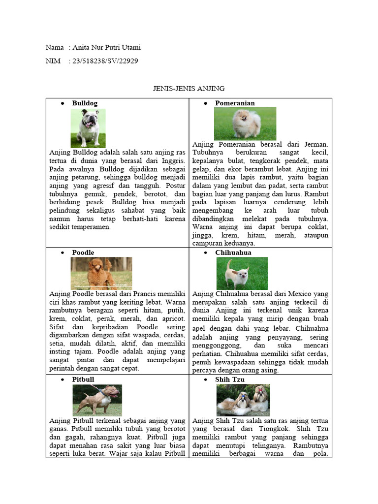 Zooteknik (Jenis Anjing Dan Kucing) | PDF