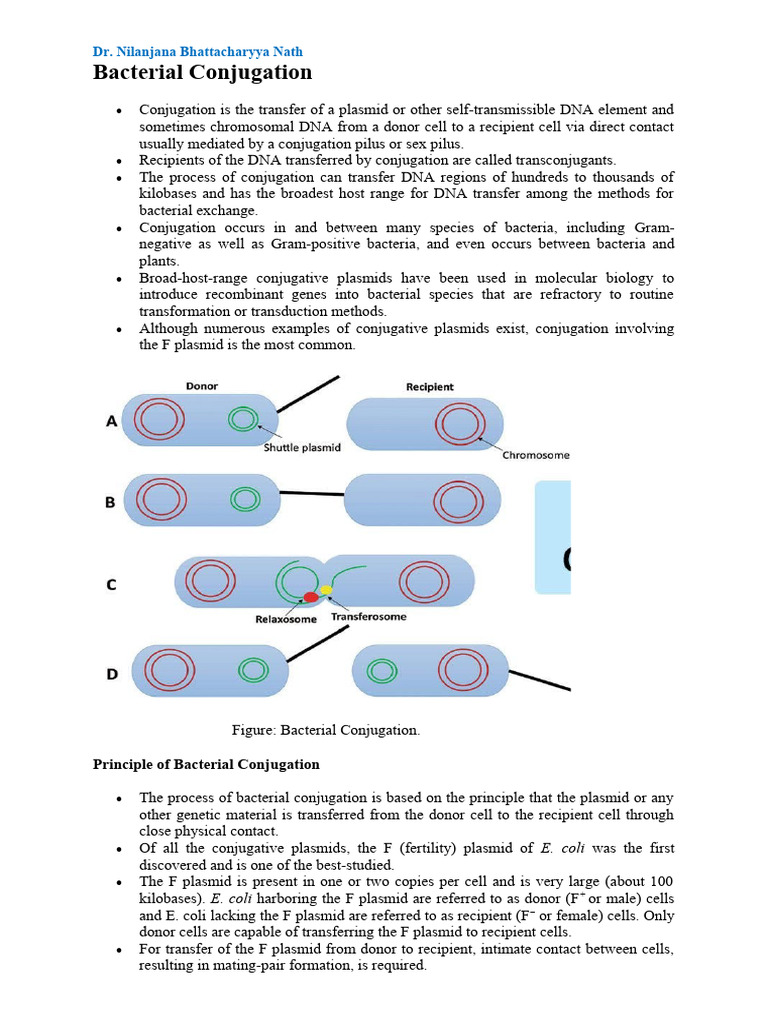 Bacterial Conjugation | PDF | Plasmid | Molecular Biology