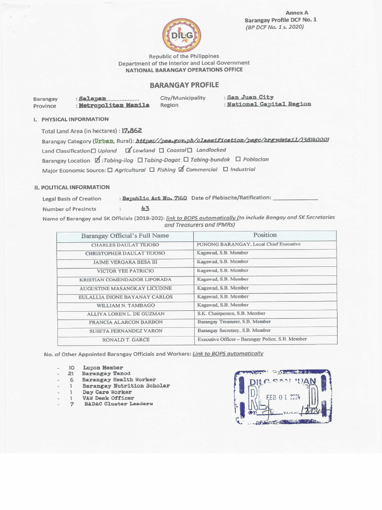 SALAPAN - BARANGAY PROFILE | PDF