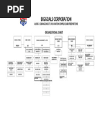 CAAP Org Chart | PDF | Transport Safety | Aviation Safety