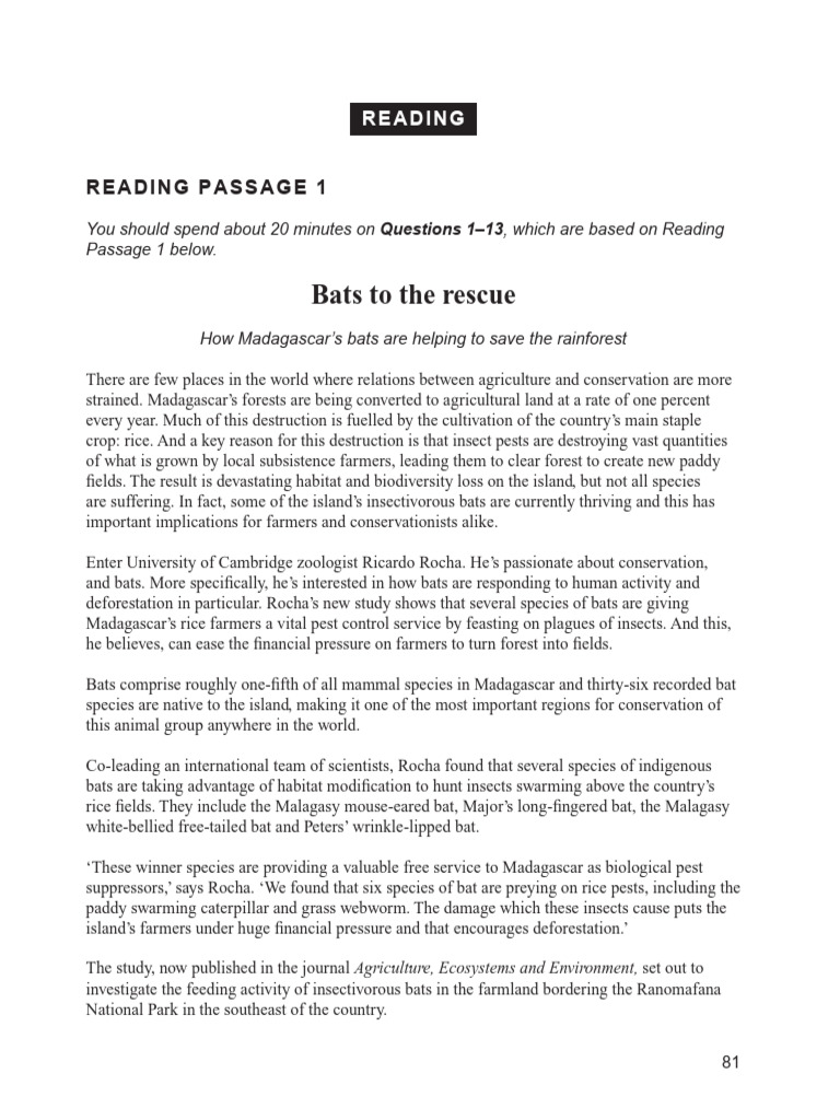 Bats | PDF | Bat | Rice