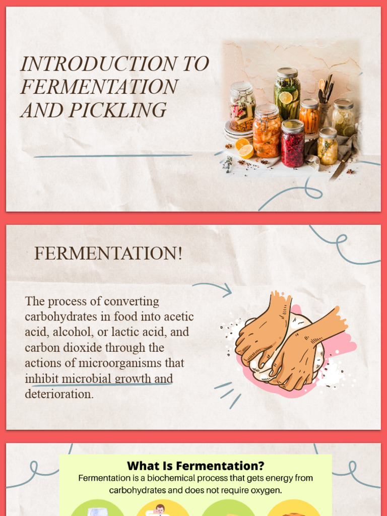 Grade 10 Lesson 1 | PDF | Fermentation | Pickling