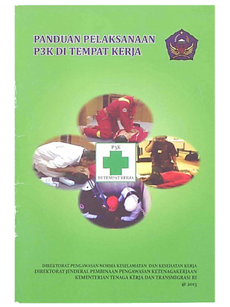 Buku Panduan P3K | PDF