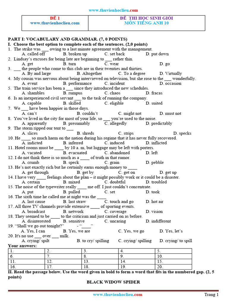 Bo de Thi HSG Tieng Anh 11 Co Dap An | PDF