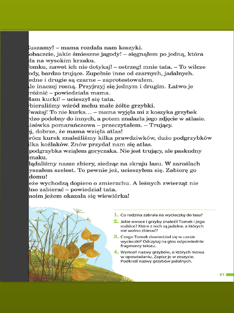 Elementarz Odkrywców. Podręcznik Klasa 3 Część 1 | PDF