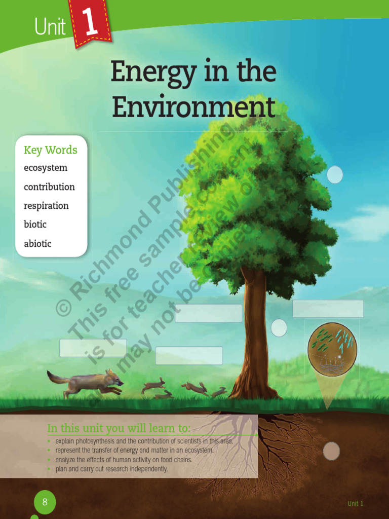 Photosynthesis and Ecosystem Energy | PDF | Photosynthesis | Biology
