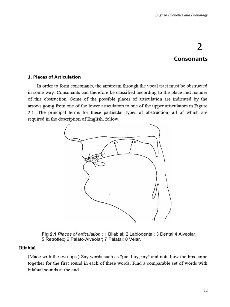 2 Consonants | PDF | Phonetics | Consonant
