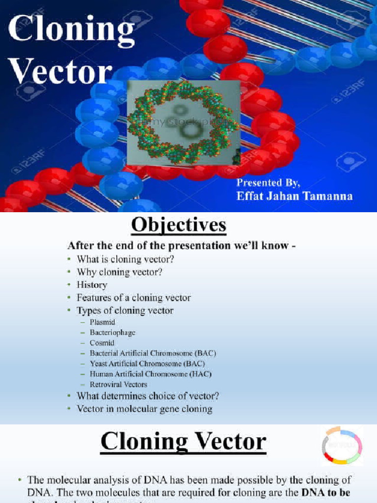 Cloning Vectors | PDF