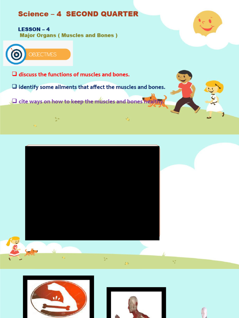 Q2 Grade 4 Lesson - 4 Major Organs ( Muscles and Bones ) | PDF