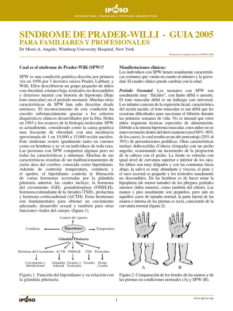 IPWSO 07 SPW Guia para Familiares y Profesionales | PDF | Adn | Rna